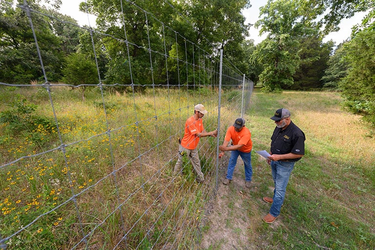 High Game Fence | Tejas Ranch & Game Fence | Texas