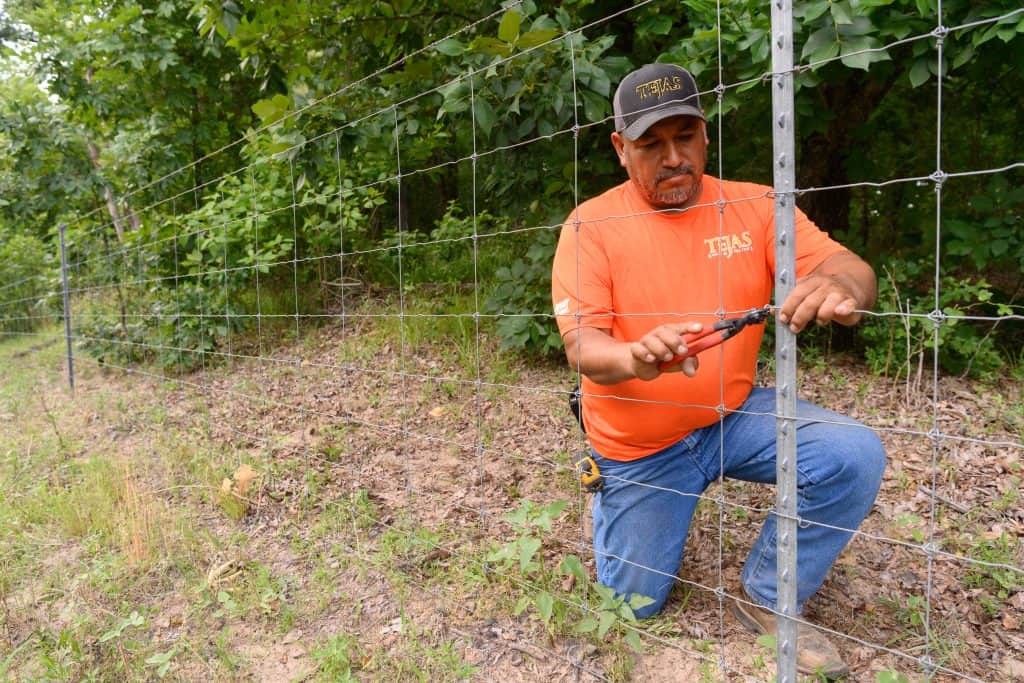 Cattle Fence Contractor - Tejas Ranch & Game Fence