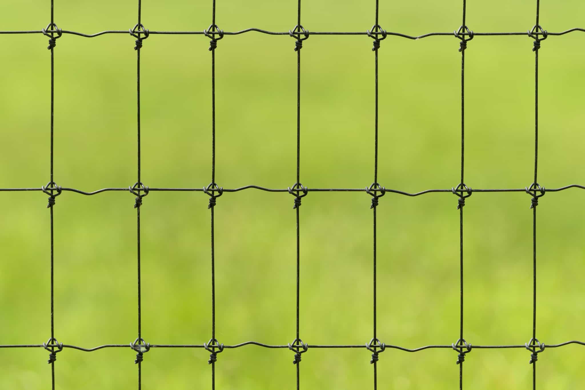 The Best High Game Fence for Trophy Whitetails and Exotics