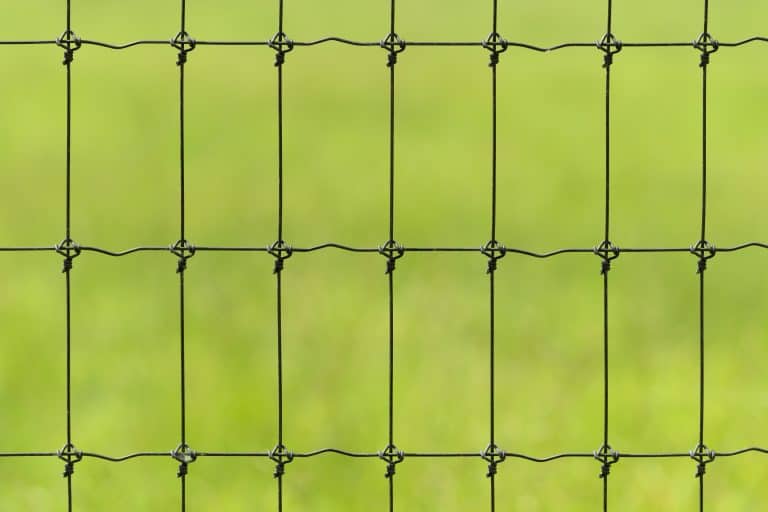 The Best High Game Fence for Trophy Whitetails and Exotics